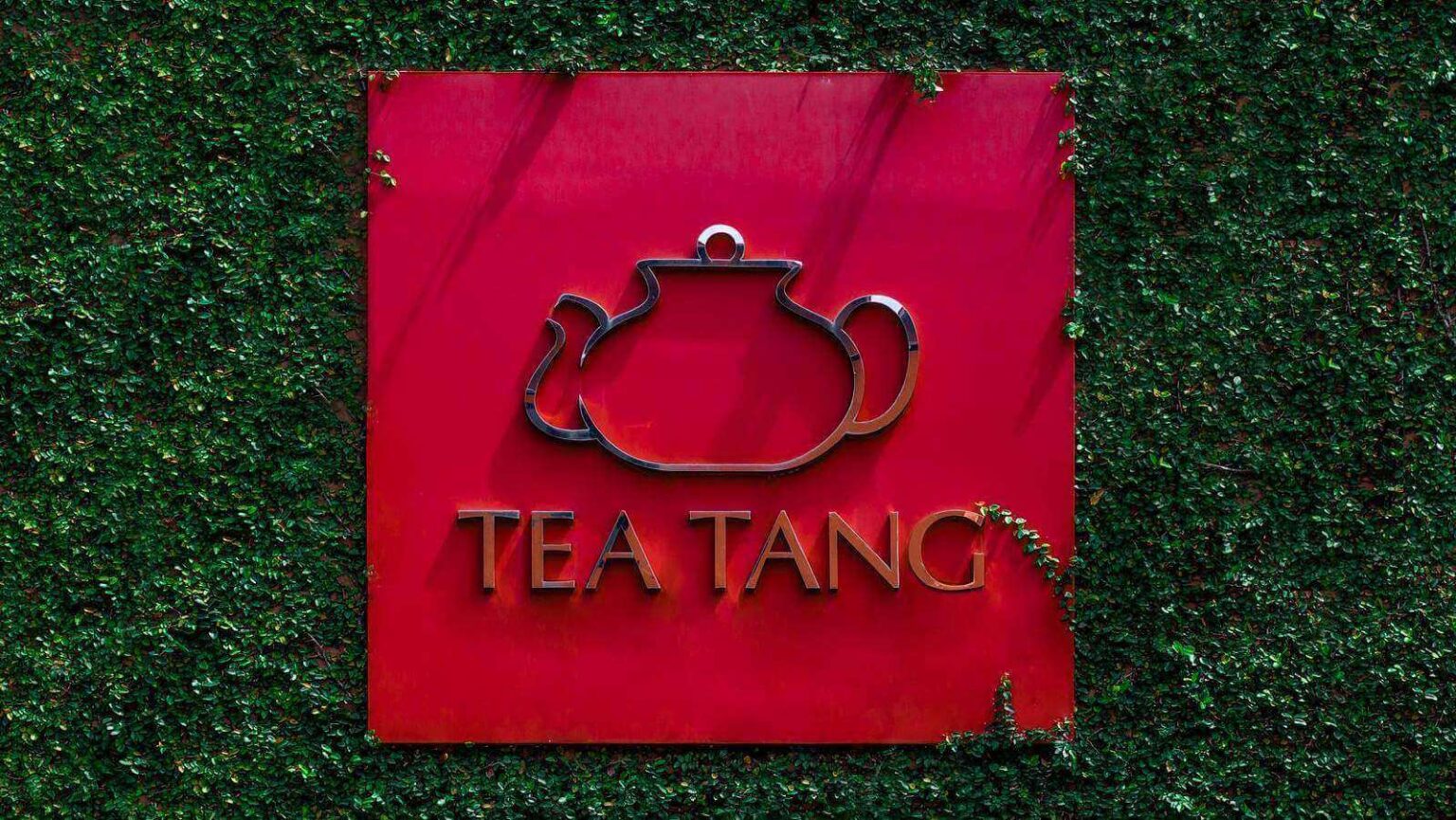 Tea Tang (Pvt) Ltd – Welcome to My VyaparBusiness